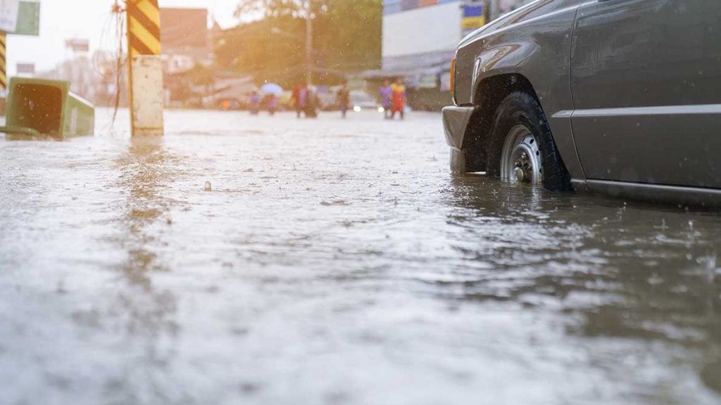 Residential & Commercial Restoration & Cleaning in FL - Regency DRT