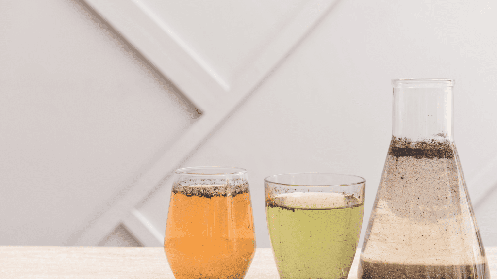 Different Types of Water | Regency DRT