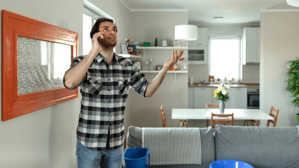 Residential & Commercial Restoration & Cleaning in FL - Regency DRT